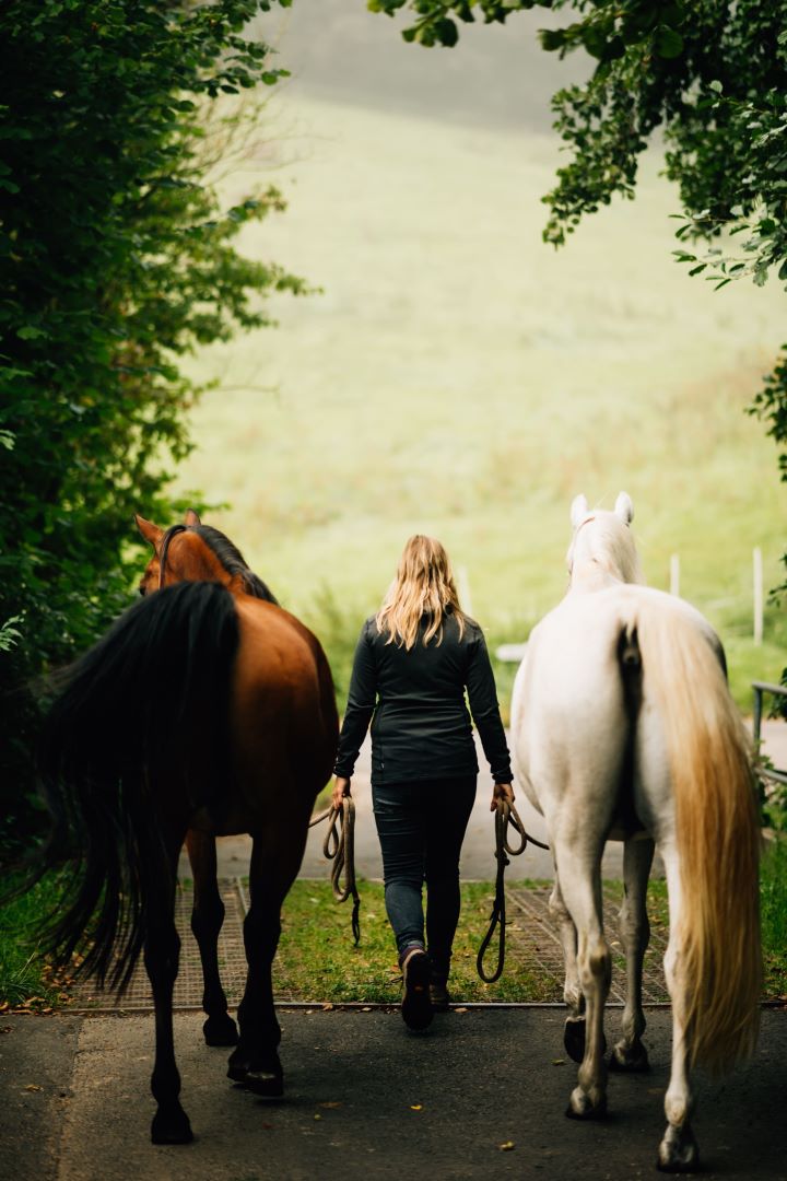 Über mich - Michelle Frey