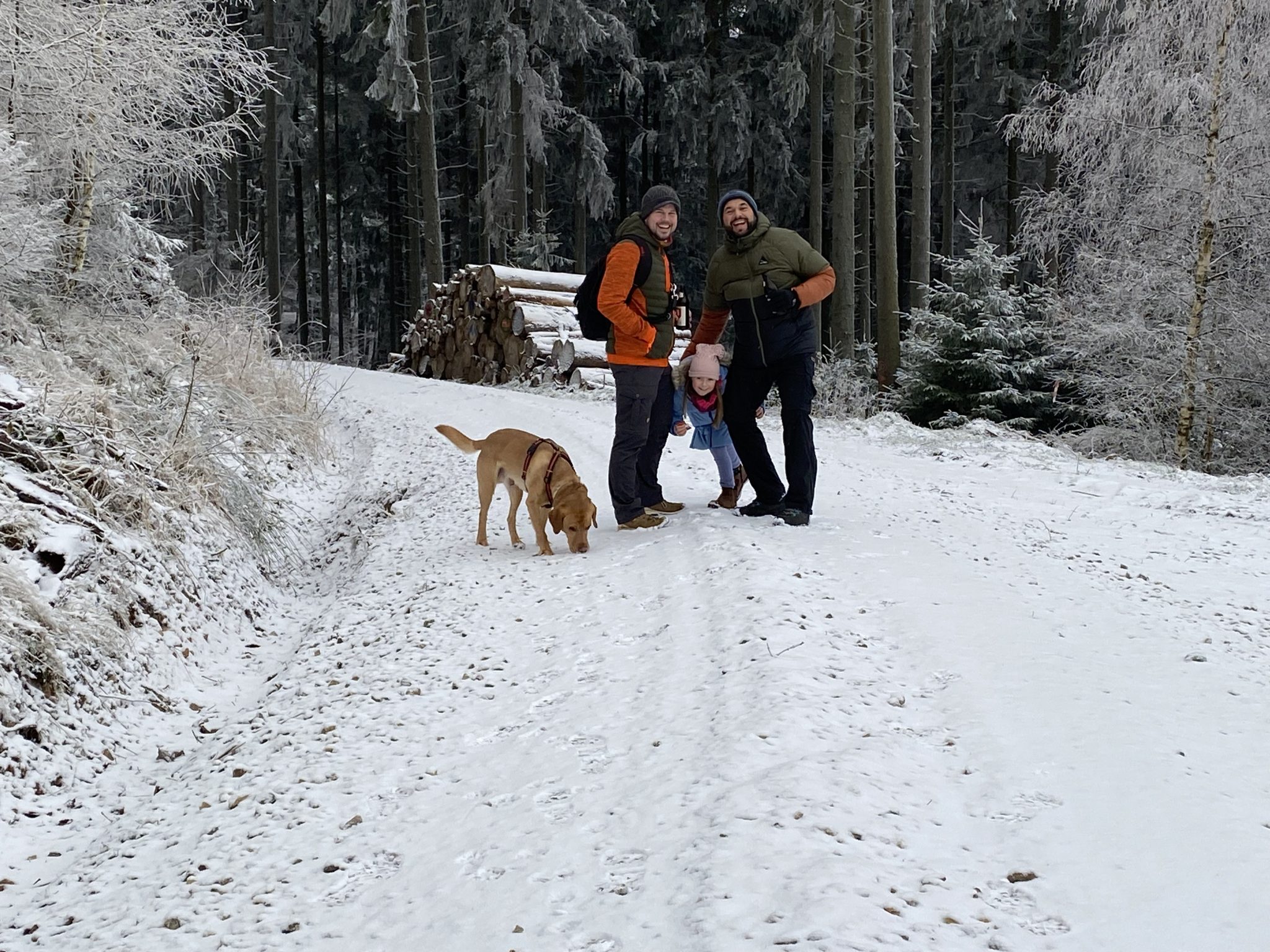 Mein Monats-Rückblick Januar 2024 - Michelle Frey